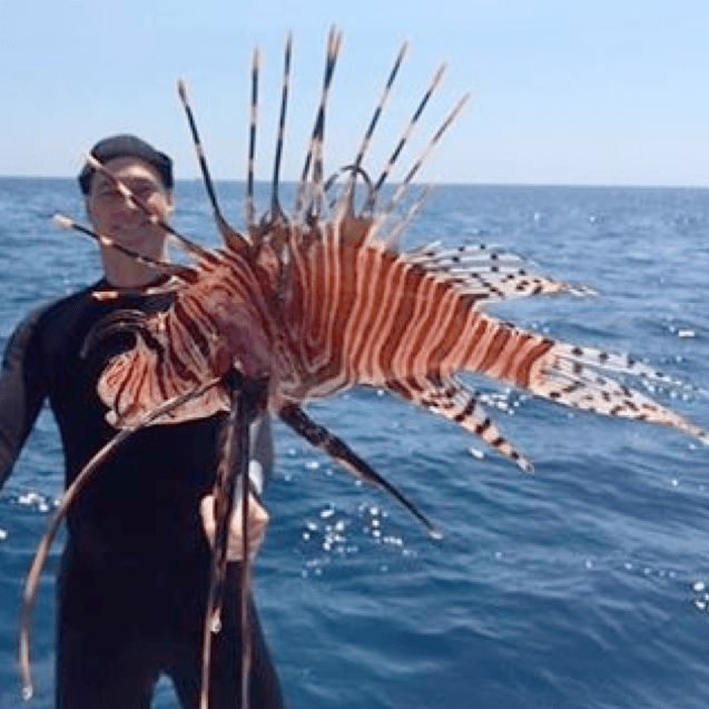 The lion fish and fish diversity in two protected marine areas of the ...